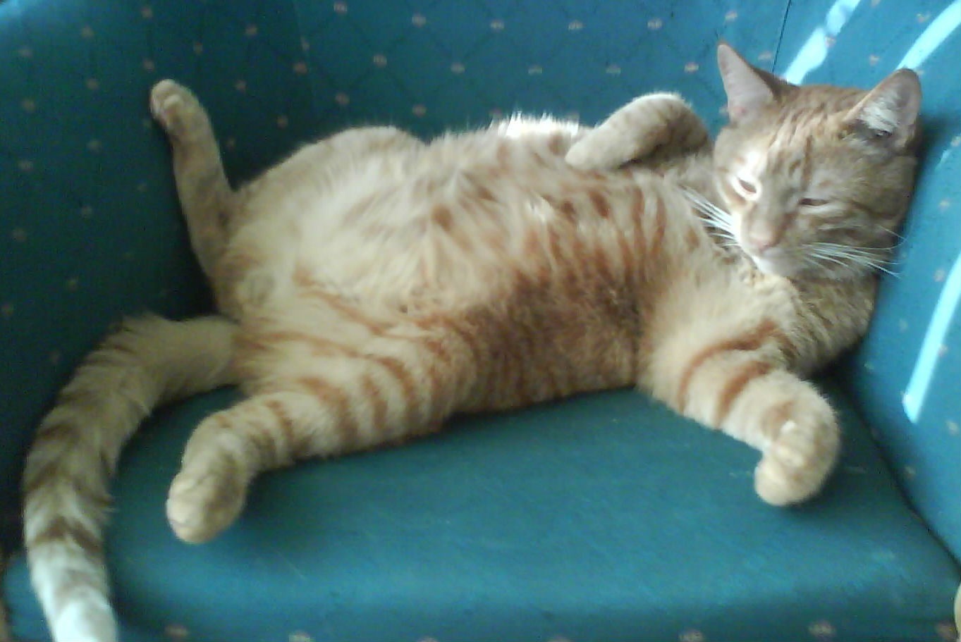 Sono stanca!!! Come riposare correttamente – Eccellente Donna